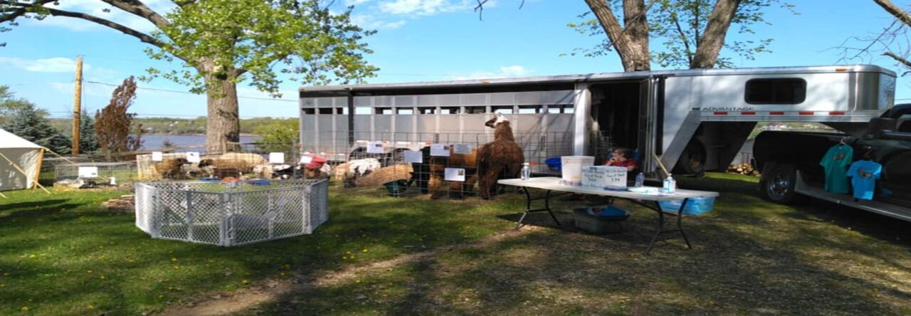 We Bring the Farm to You! - P & C Little Rascals LLC